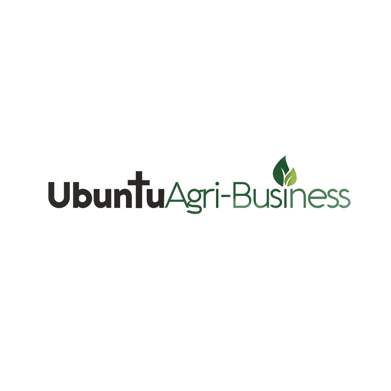 Home - Ubuntu Agency